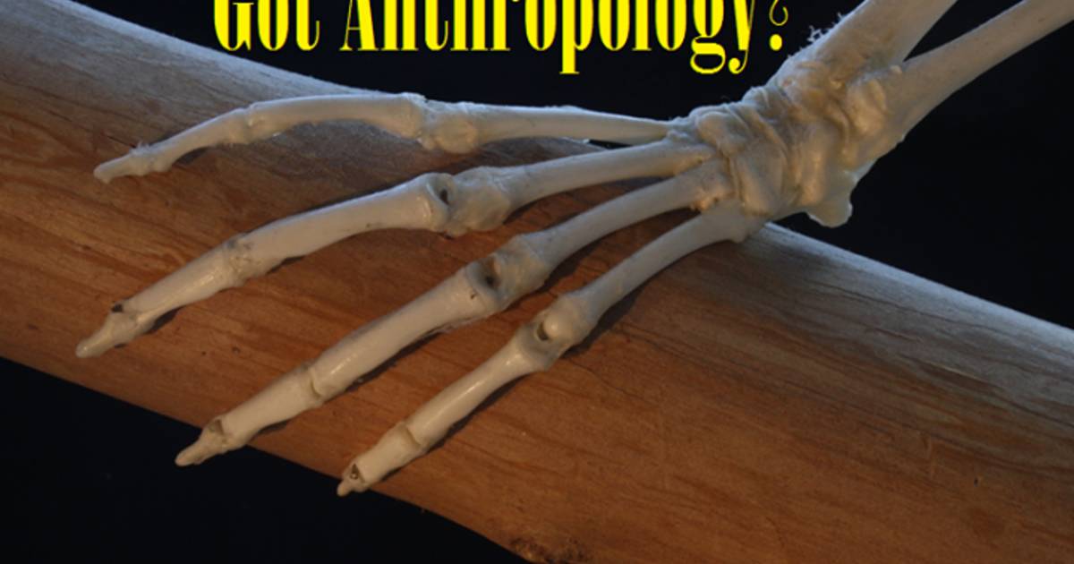 If humans evolved from monkeys, why are there still monkeys?