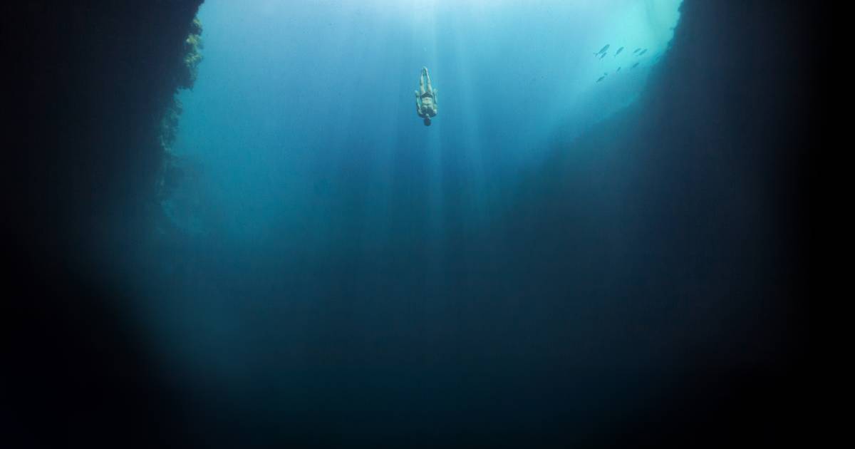 Award-winning documentary DOLPHIN MAN