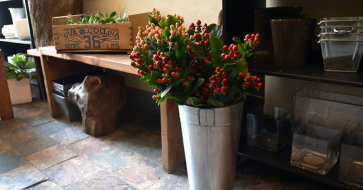 Botany Floral Studio - blogTO - Toronto