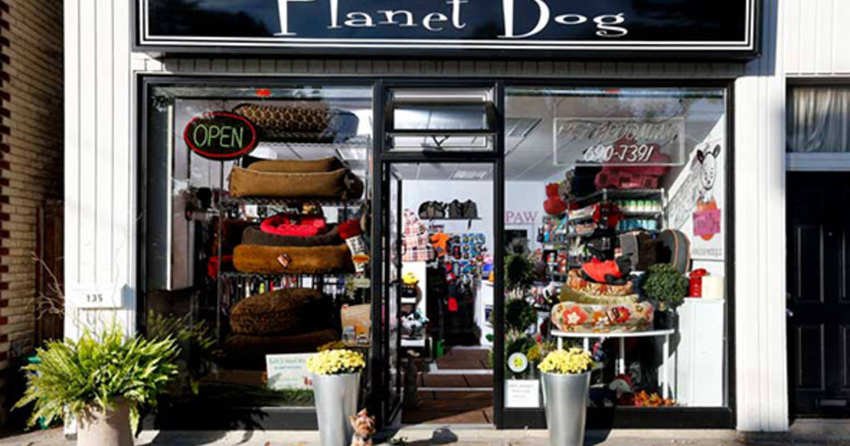 Planet Dog - blogTO - Toronto