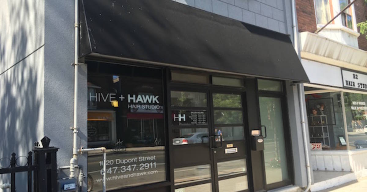 Hive and Hawk - blogTO - Toronto