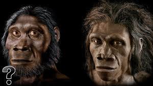 Difference Between Man And Apes | Class Eleven Biology