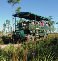 Home - Allen Broussard Conservancy