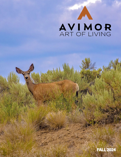 Eagle Foothills New Home Community | New Homes in Eagle, ID | Avimor