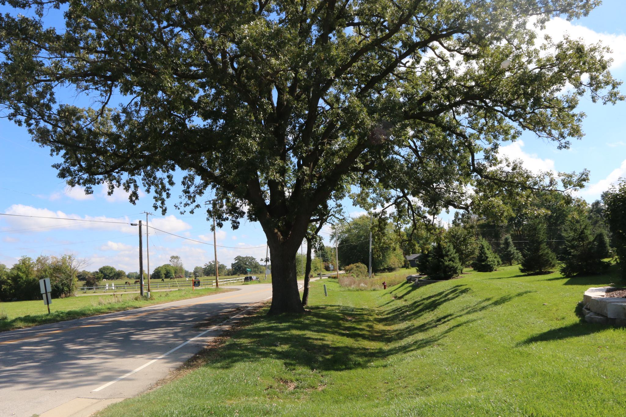 Woodleaf Reserve | New Home Community in Pewaukee | Korndoerfer