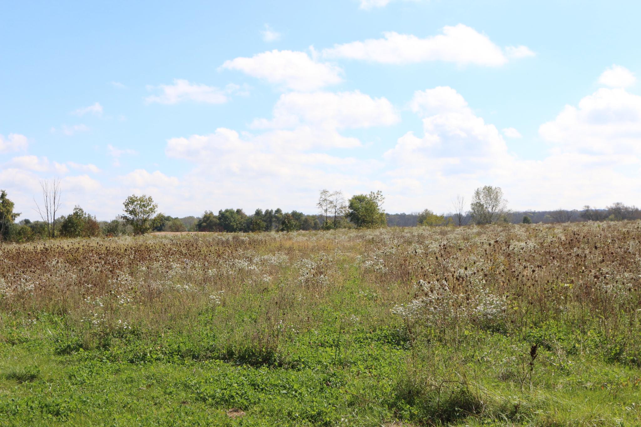 Woodleaf Reserve | New Home Community in Pewaukee | Korndoerfer