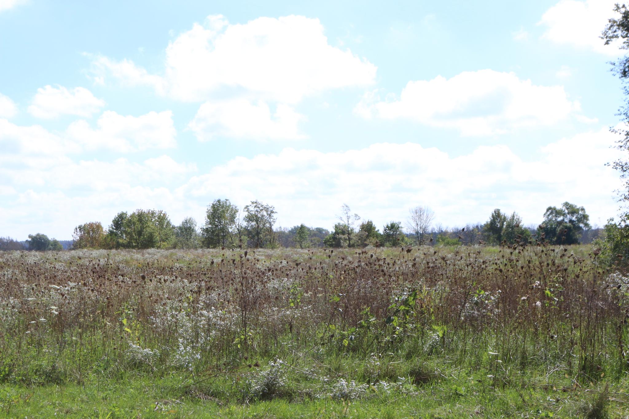 Woodleaf Reserve | New Home Community in Pewaukee | Korndoerfer