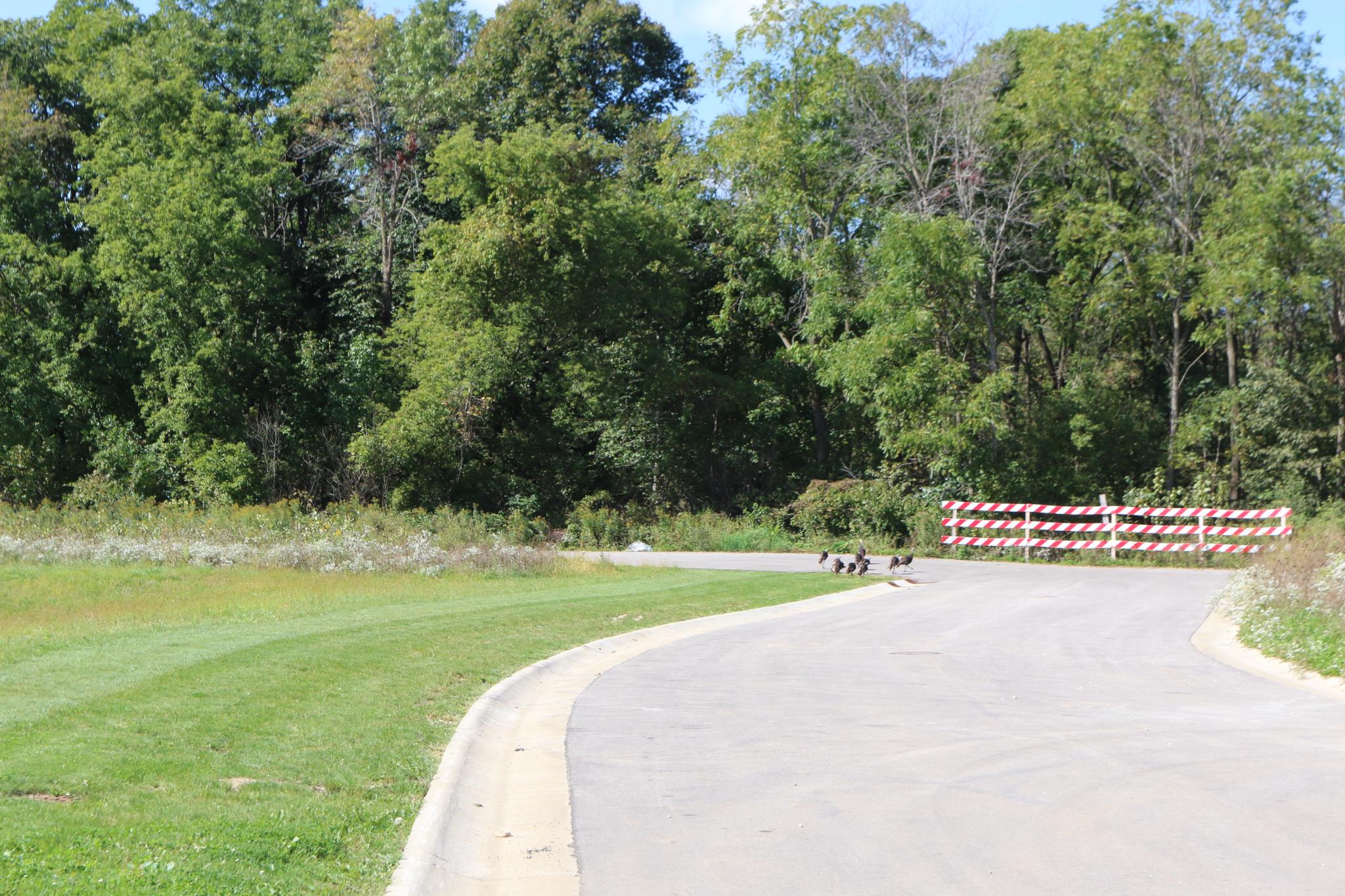 Woodleaf Reserve | New Home Community in Pewaukee | Korndoerfer