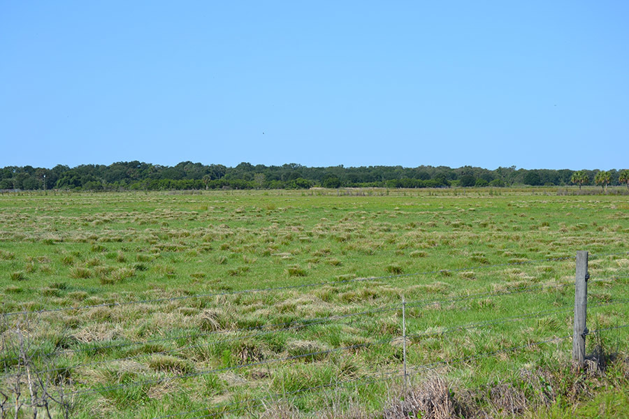 Land for Sale - Saunders Real Estate