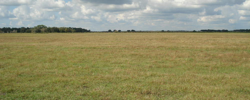 Land for Sale - Saunders Real Estate