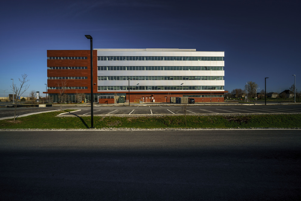 Martin Rousseau - Professionals - Avison Young Global