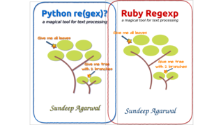 Ruby Regexp by Sundeep Agarwal [Leanpub PDF/iPad/Kindle]