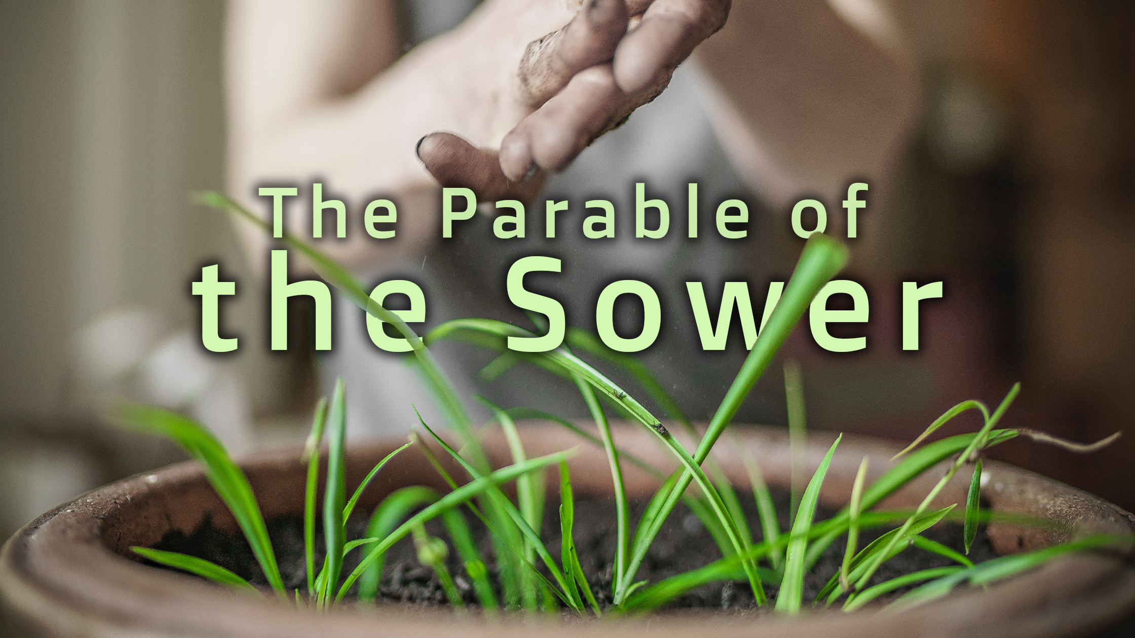 The Parable of the Sower – Burleson Church of Christ