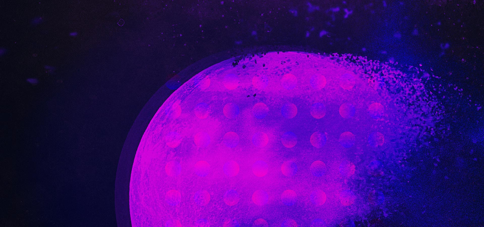 Drax Project Official Website