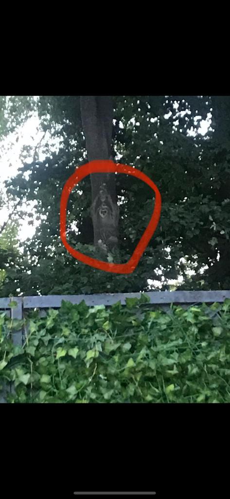 KISS Online :: Letters To Kiss | Fan Letters to KISS From All Around ...