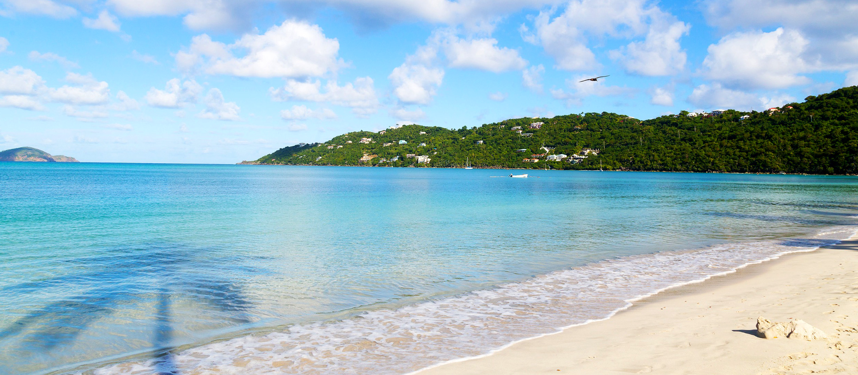 What To Expect | ShipRocked