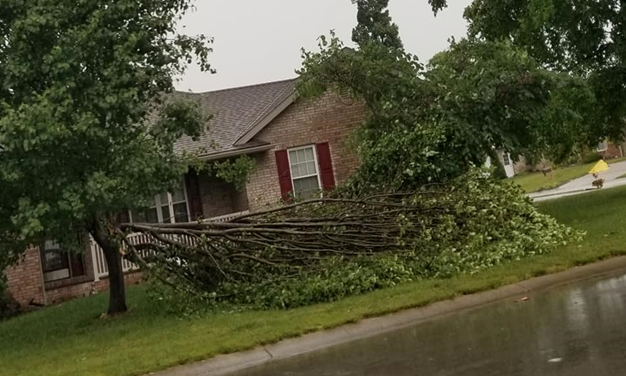 PHOTOS: Local Storm Damage