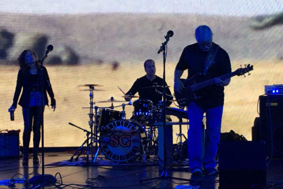 The Shaky Ground Band