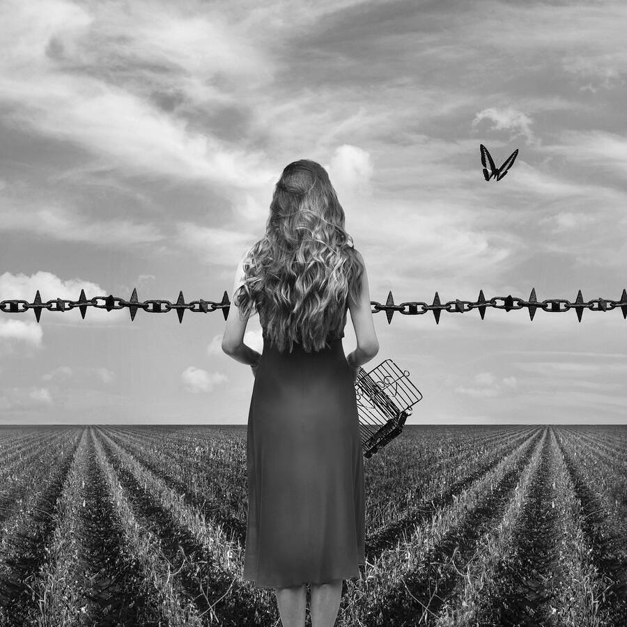 Jane Vickers - Single Image Winner - DIGITAL/ANALOG MANIPULATION ...