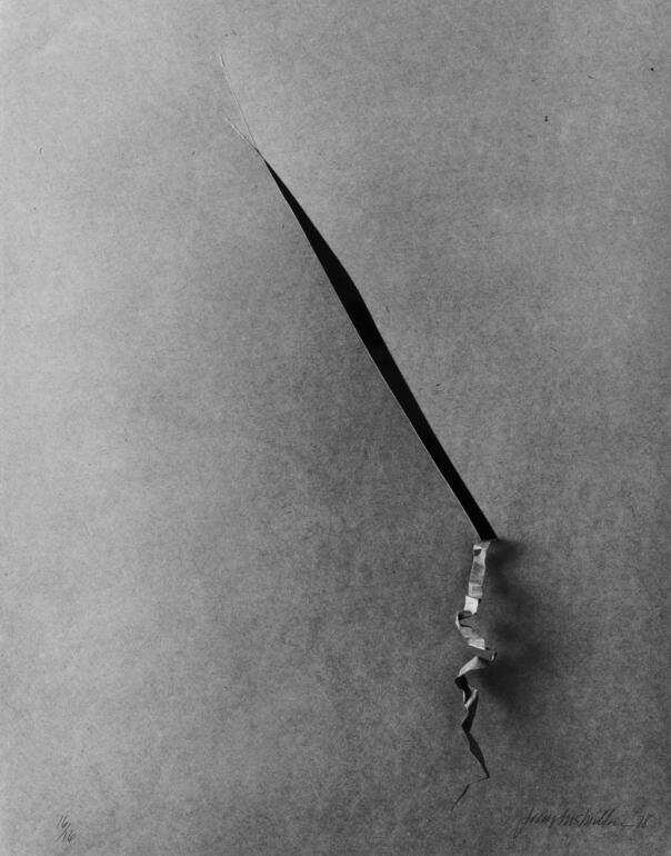 Jerry McMillan: Reshaping the Language of Photography | Black & White ...