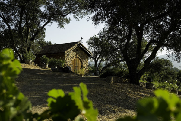 Benchmark Wine Group