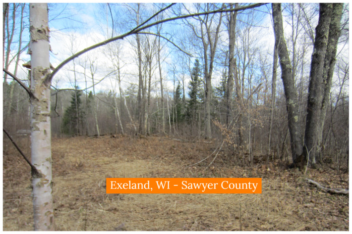 39.81 Acres in Exeland - Sawyer County, WI