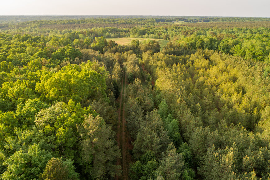 49.7 +/- Acres of Timber Land in Lunenburg County, VA--Selling to the ...