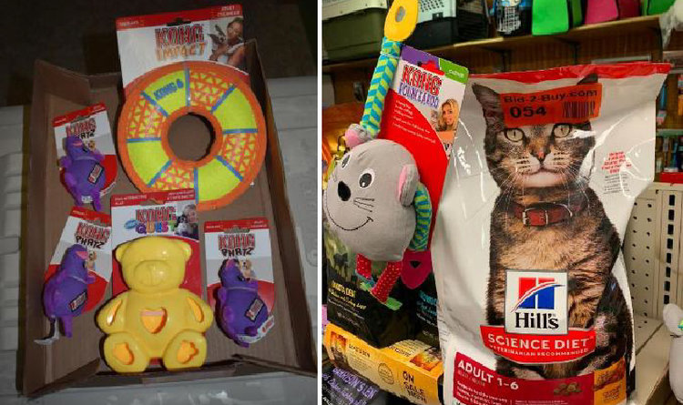 Complete Pet Store Downsizing and Relocating After 37 Years