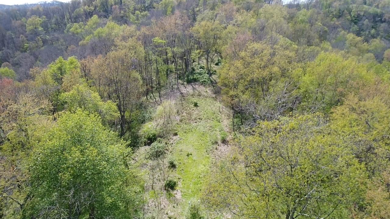 21 Acres off Daybrook Road