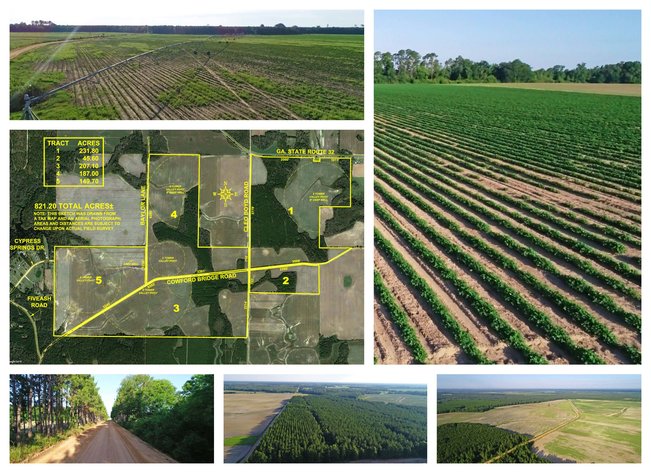 The Moree Farm - 821 +/- Acres Located in Worth County