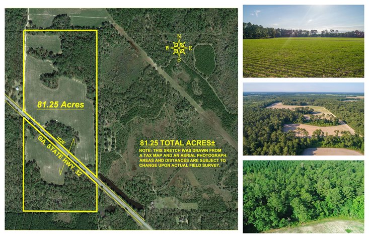 The Williams Farm - 81+/- Acres Worth County (50% Fee Simple Interest)