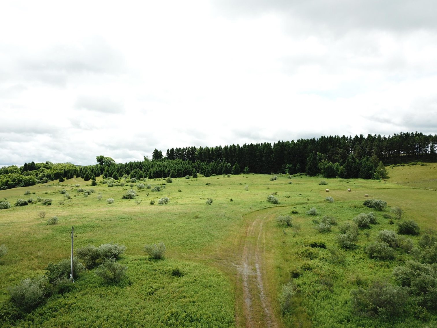 Large Tracts of Land Sold to the Highest Bidders