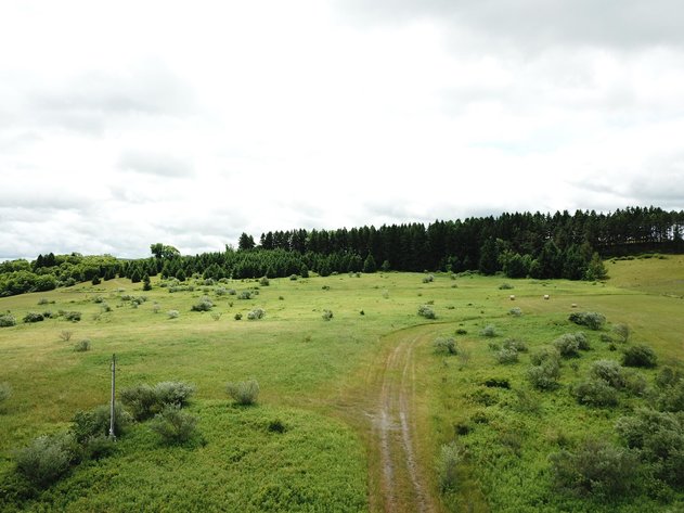 Large Tracts of Land Sold to the Highest Bidders