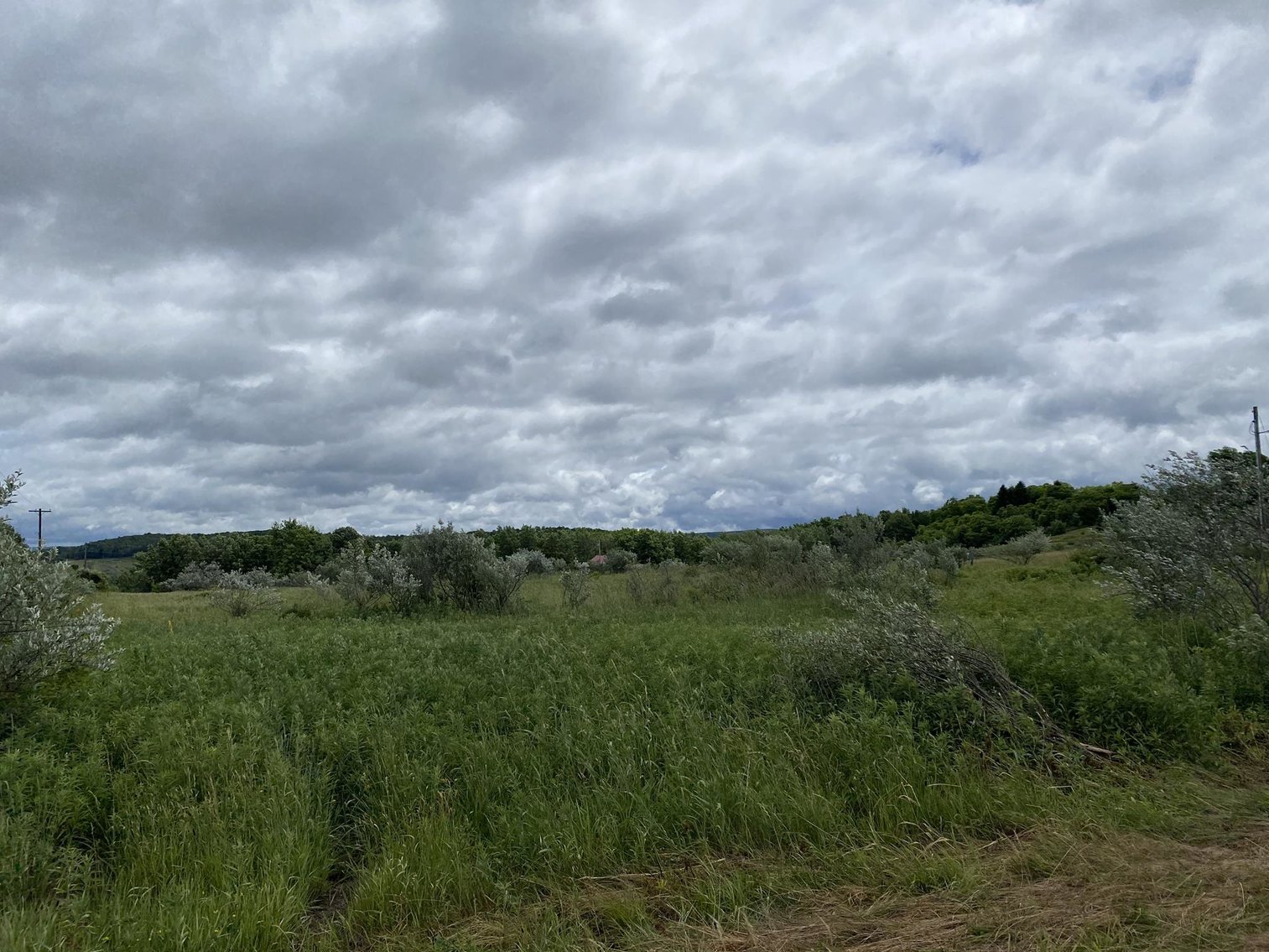 Large Tracts of Land Sold to the Highest Bidders