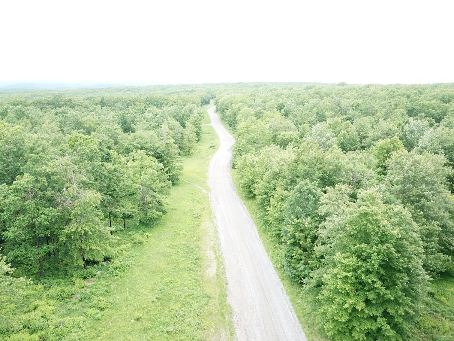 Large Tracts of Land Sold to the Highest Bidders