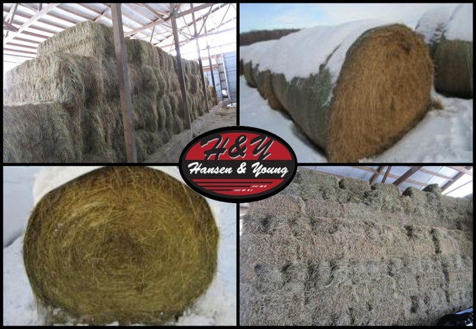 Hay & Straw Auction - Various Locations