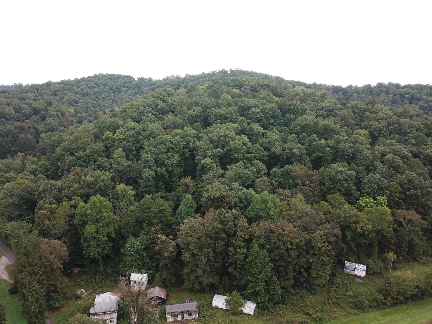 25 Acres Along Route 50 Selling to the Highest Bidder