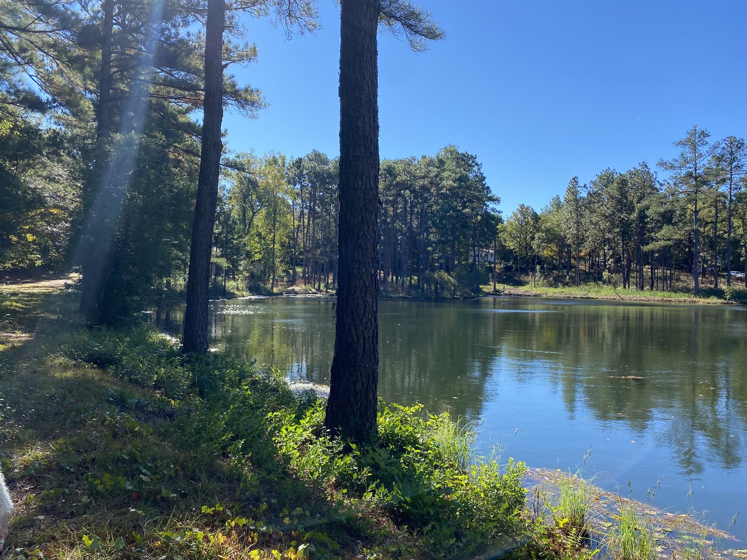 2 Adjacent Buildable Land Lots