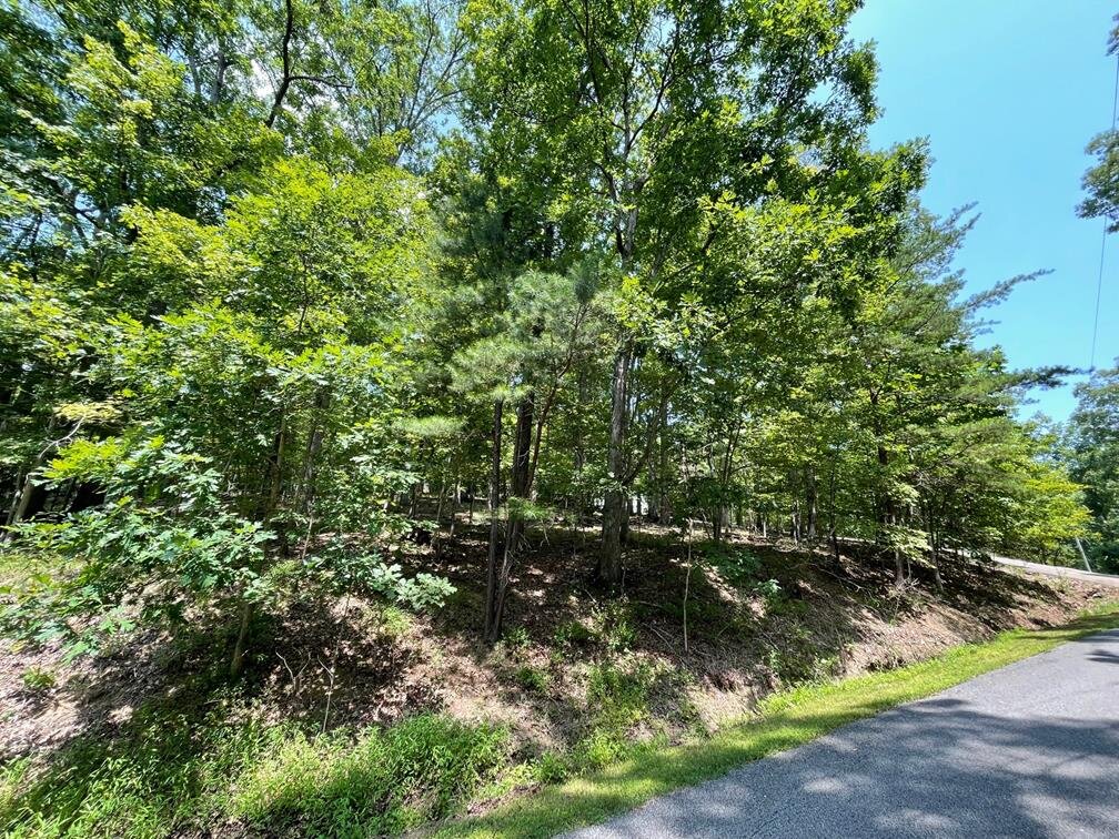 SOLD $39,600 - 1.65 Acre Residential Lot in a Prime Subdivision
