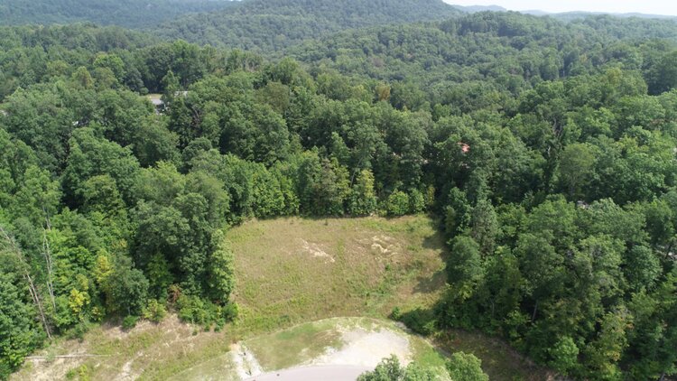 SOLD $17,875 - 5 Acres in The Ridges Selling to the Highest Bidder