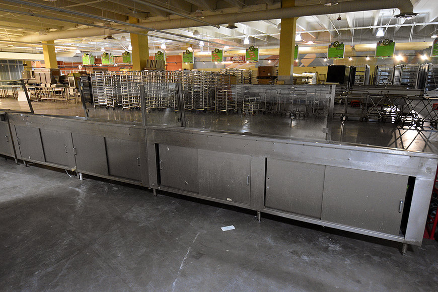 Large Stainless Steel Fish Display