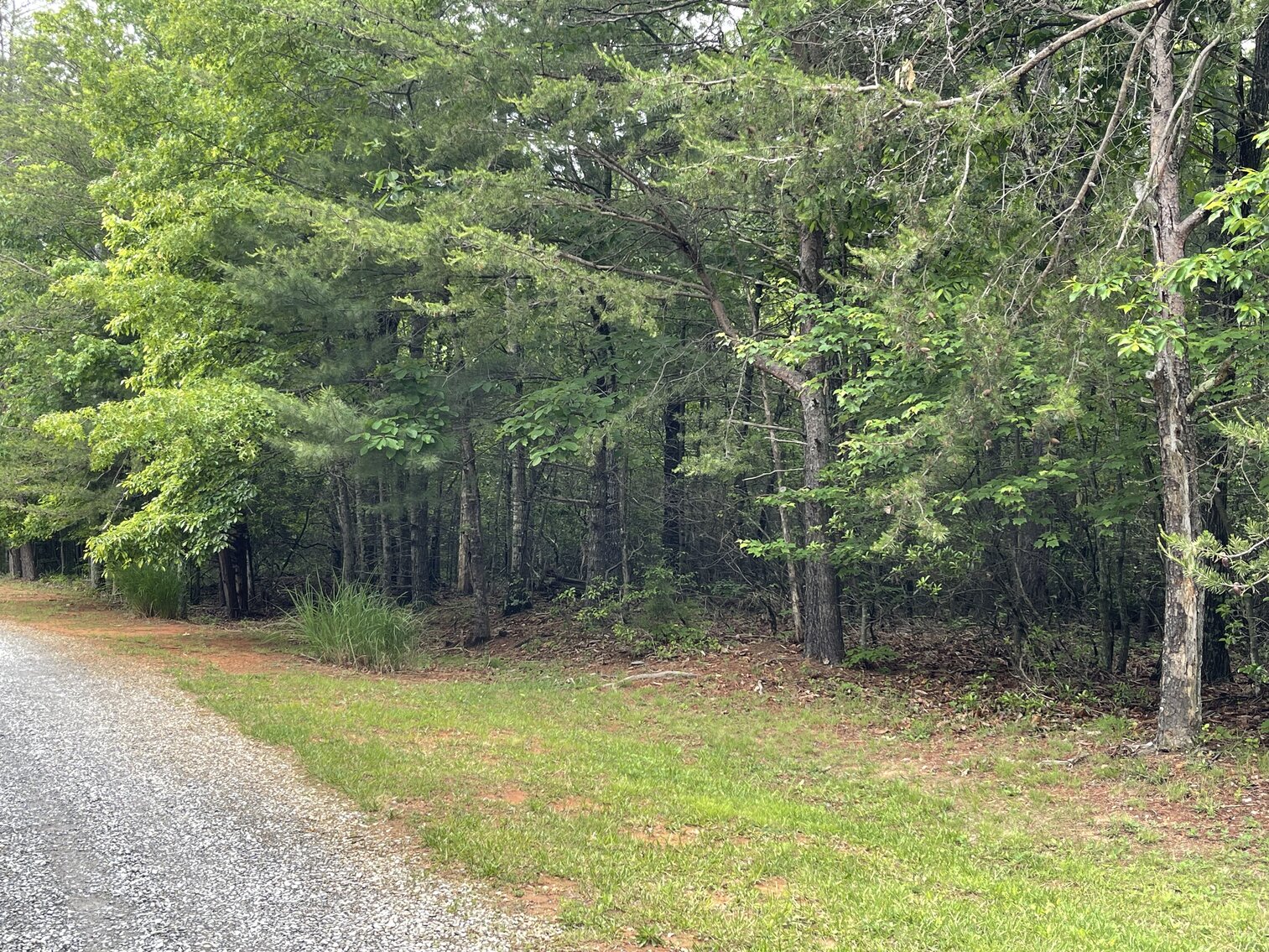 Hatchet Ridge Lane Callaway, VA