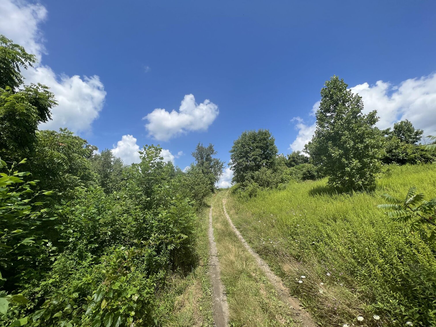 SOLD $28,050 - Over 3 Acres of Developable Land in Oak Hill Selling to ...