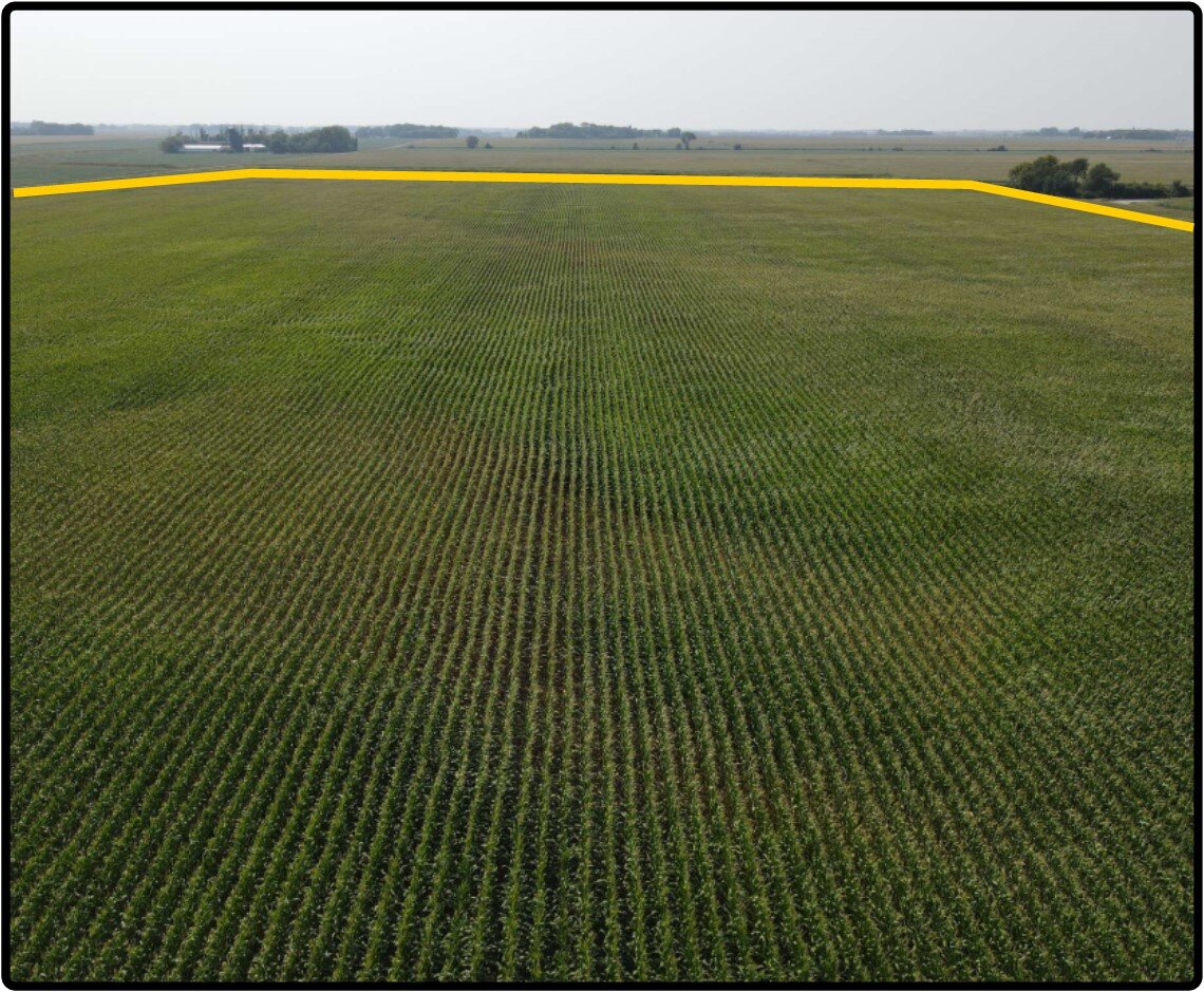 Parcel 2 - Freeborn Co., MN - 56.00 Ac., m/l (020-0467-11)