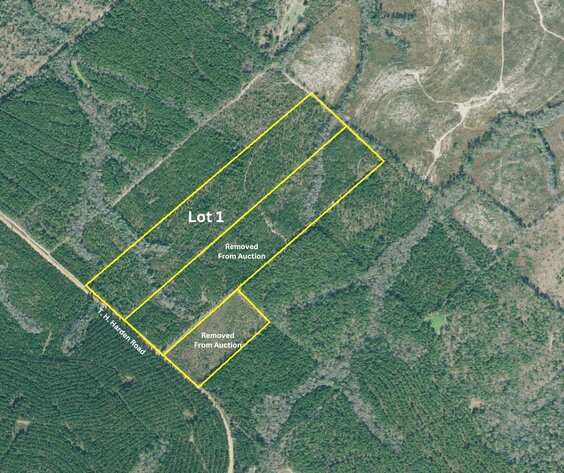 Lot 1 - 33.06 Acres