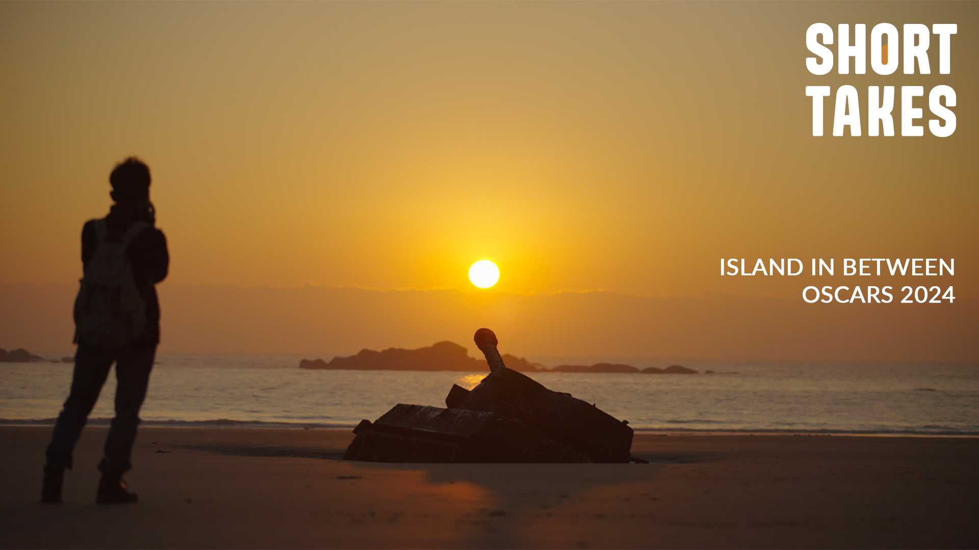 Guide to Asian and Asian American Representation at the Oscars 2024 – CAAM Home