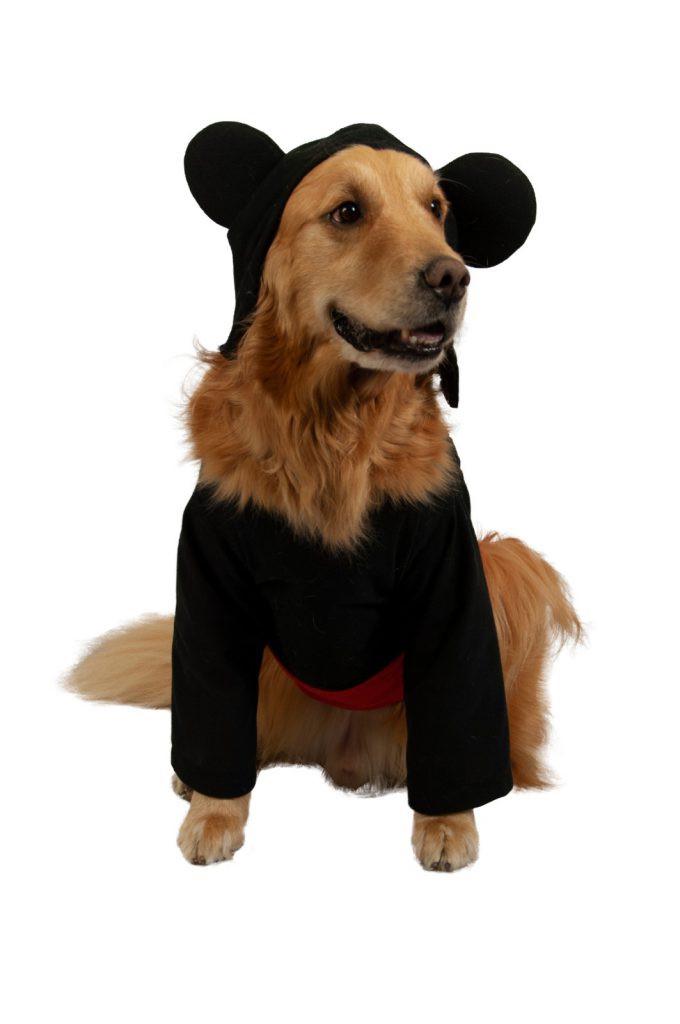 Mickey Mouse Dog | Disfraces Cachivaches