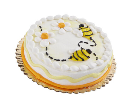 Order Round Cake Designs Cakes and Cupcakes from VONS #2125 BKY | 1160 ...