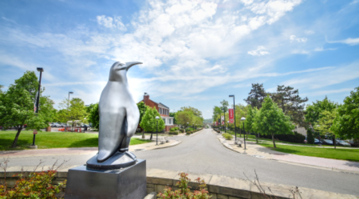 Youngstown State App