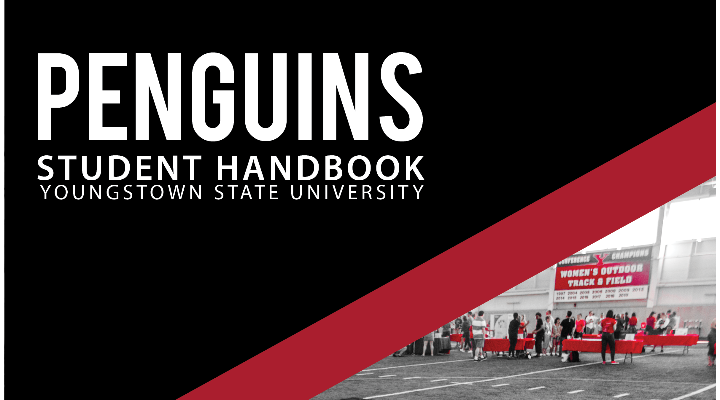 Youngstown State App